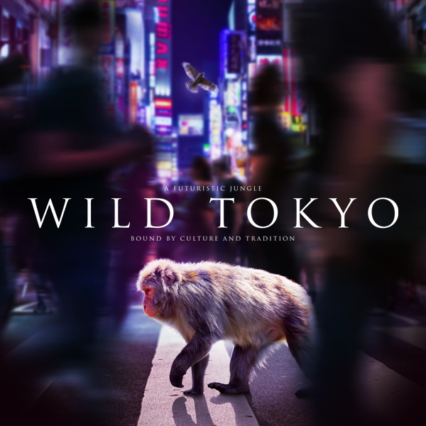 Дивото Токио, Wild Tokyo - филми, трейлъри, снимки - Cinefish.bg